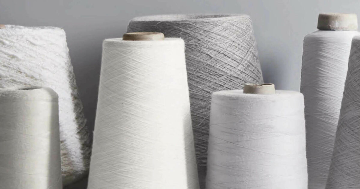 Two Ply | John Miller